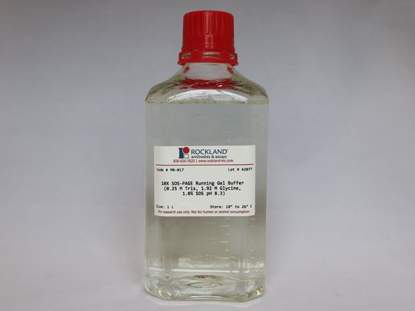 10X SDS-PAGE Running Gel Buffer (MB-017) | Rockland
